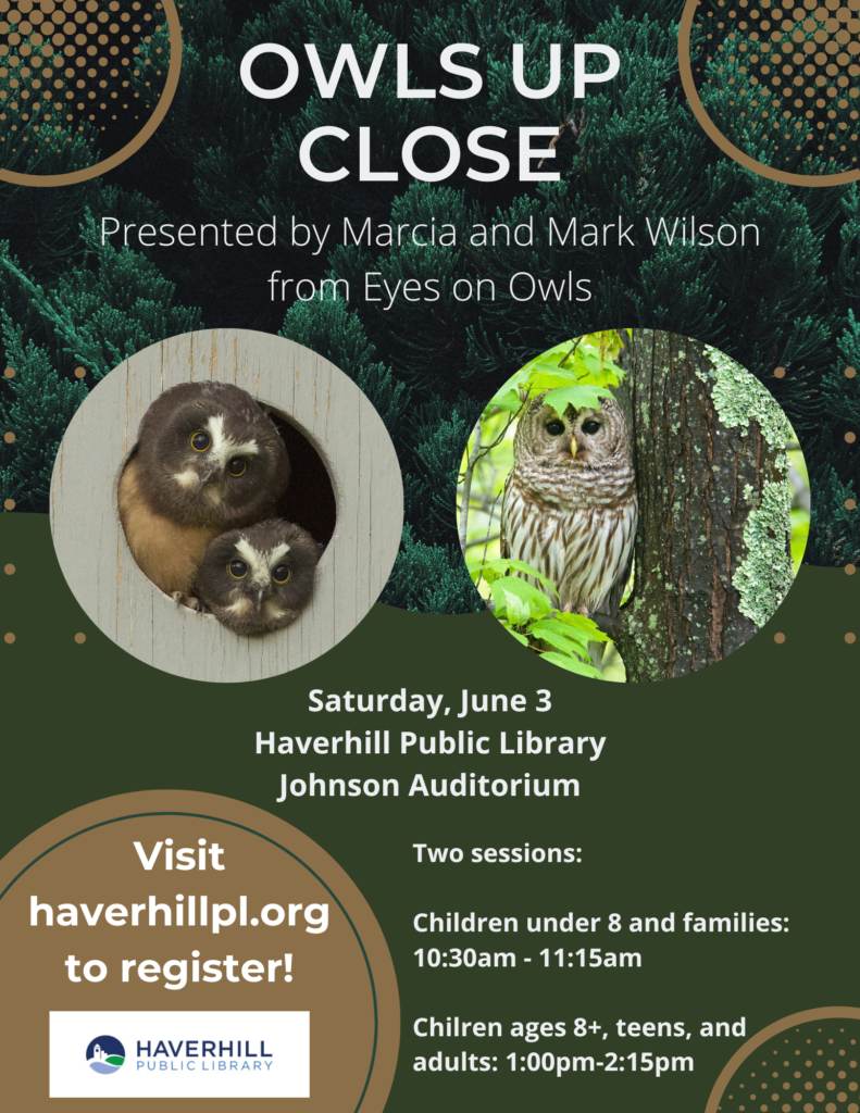 Come see the Owls Close up!! Haverhill Public Library - Hunking School